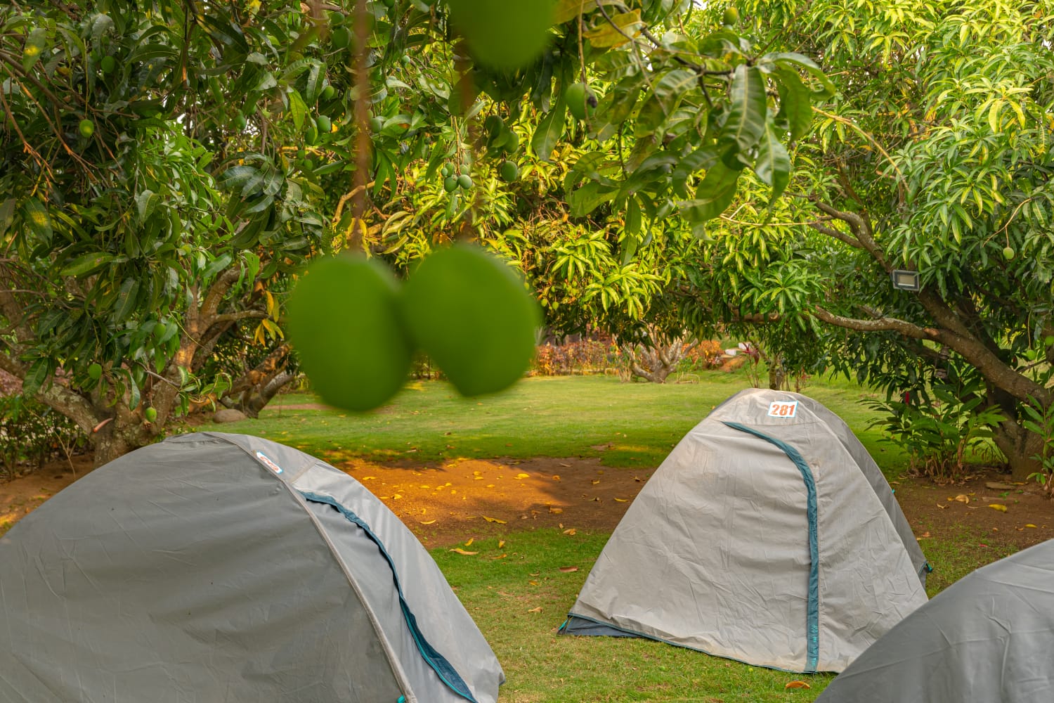 Q Mango Resort 𝗕𝗢𝗢𝗞 Ramanagara Resort