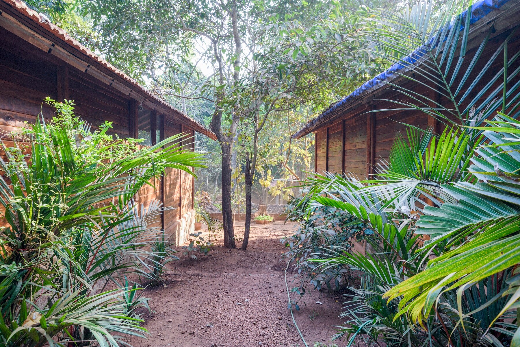 Namaste Jungle - A Boutique Homestay Best Rates on Goa Hotel Deals ...