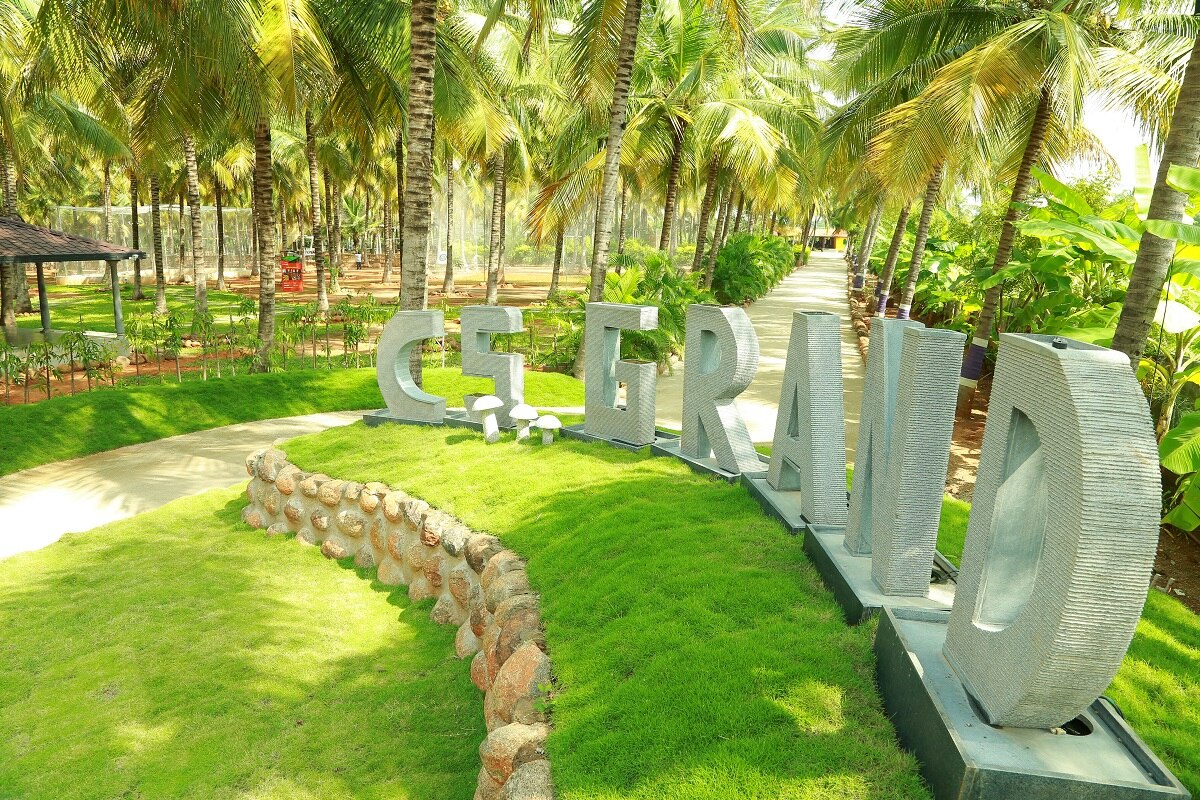 CS GRAND ADVENTURE RESORT Best Rates on Palakkodu Hotel Deals, Reviews ...
