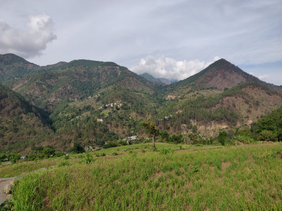 Photos of kewar - Homestay in Tharali