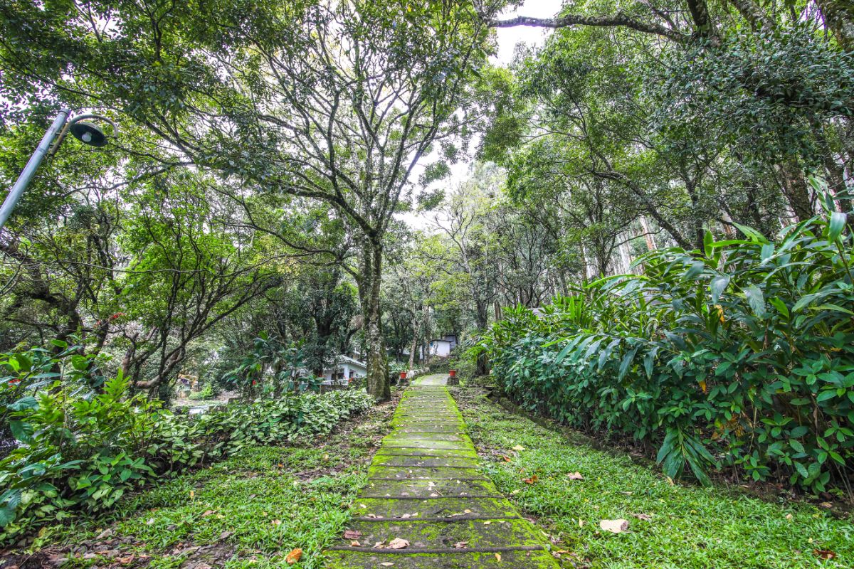 Great Escapes Resorts Munnar Resort Price, Address & Reviews