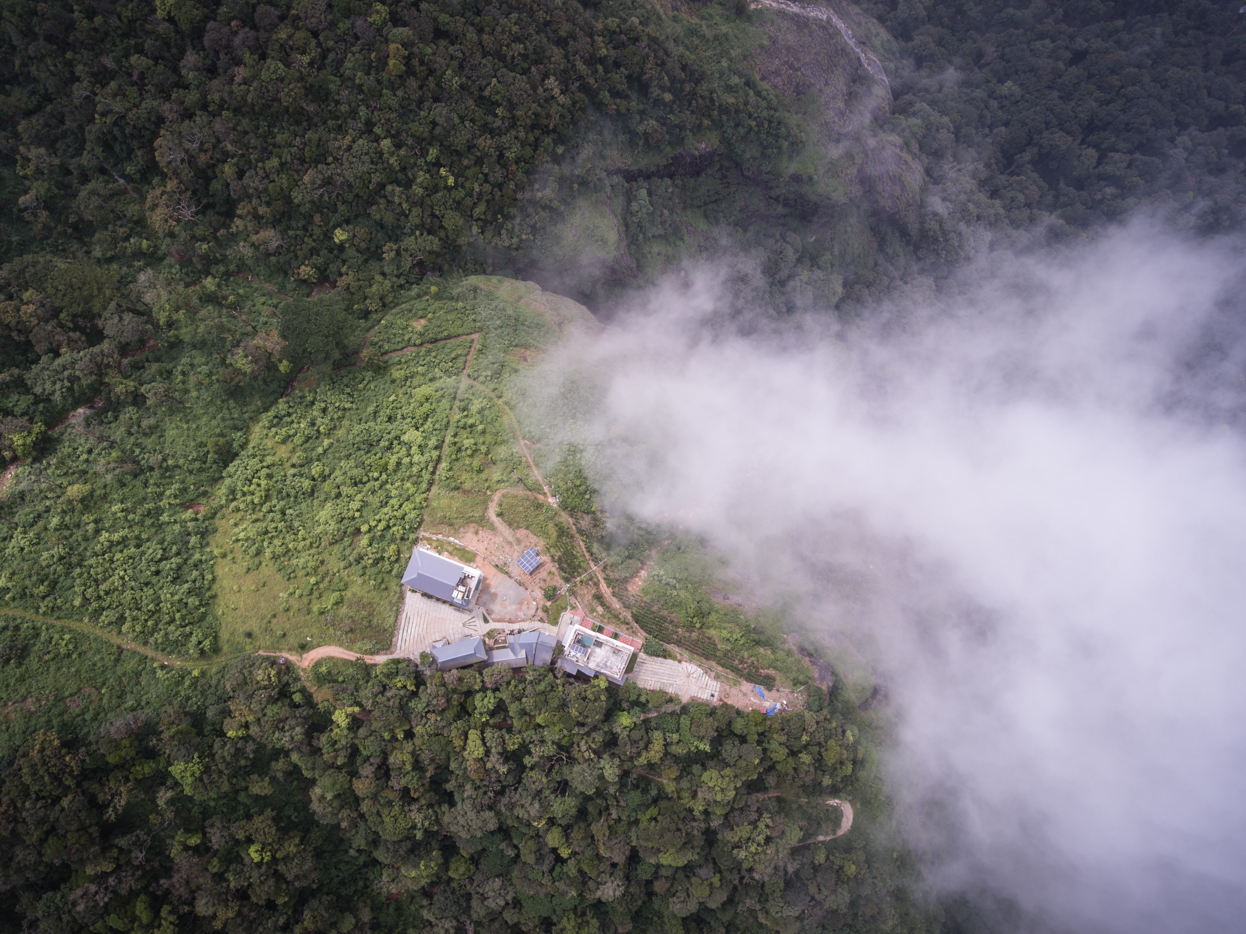 Forest County Munnar Munnar Resort Price, Address & Reviews