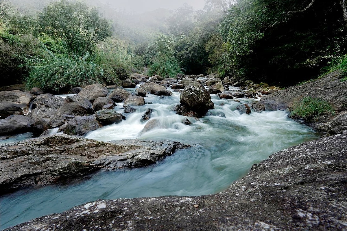 Koodaram Camp | Rooms & Guided Treks 𝗕𝗢𝗢𝗞 Munnar Luxury Camp
