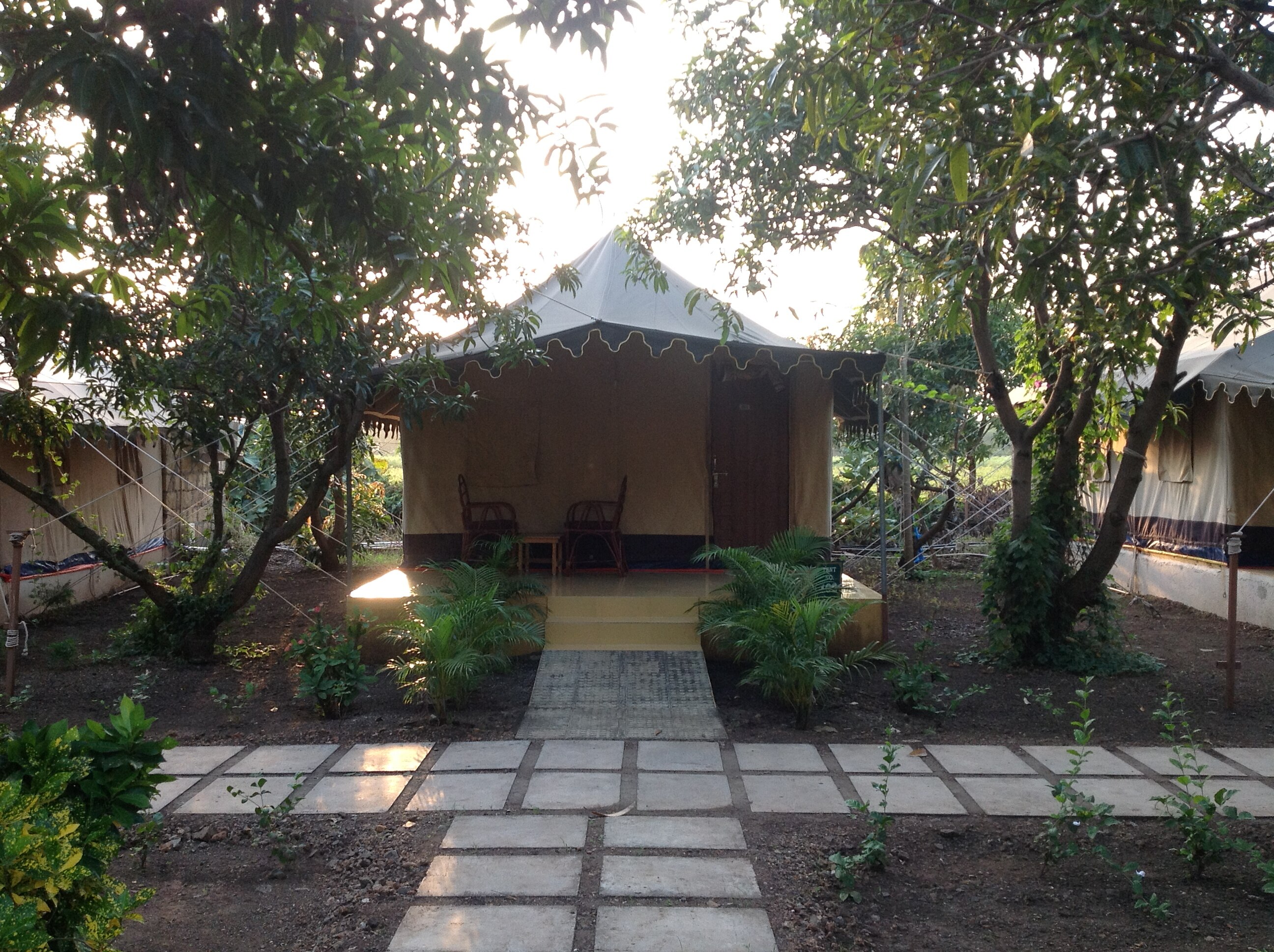 Gir Jungle Lodge Sasan Gir Resort Price, Address & Reviews