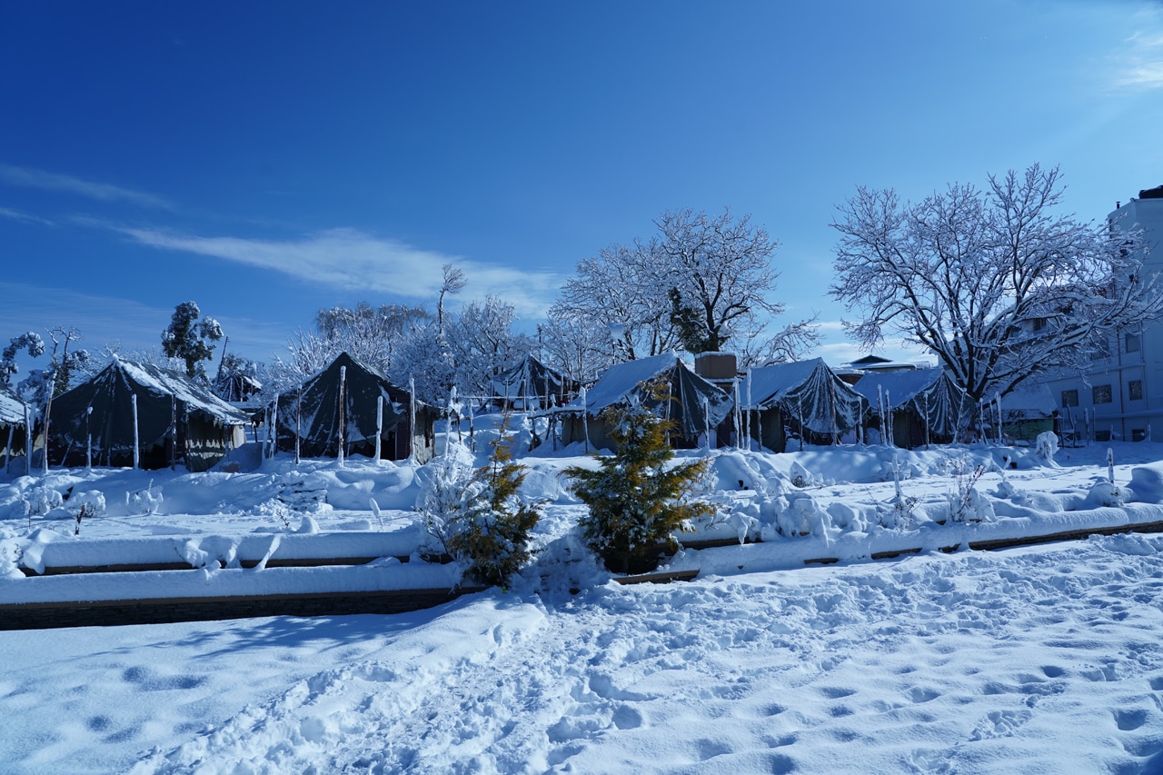 Jungle Liv inn Camp Site | Chail Camp BOOK @ ₹1