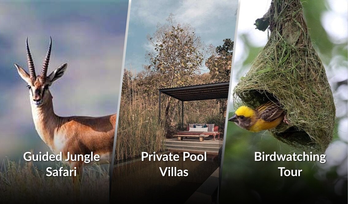 Tipai - Wildlife Luxuries 𝗕𝗢𝗢𝗞 Pandharkawada Resort