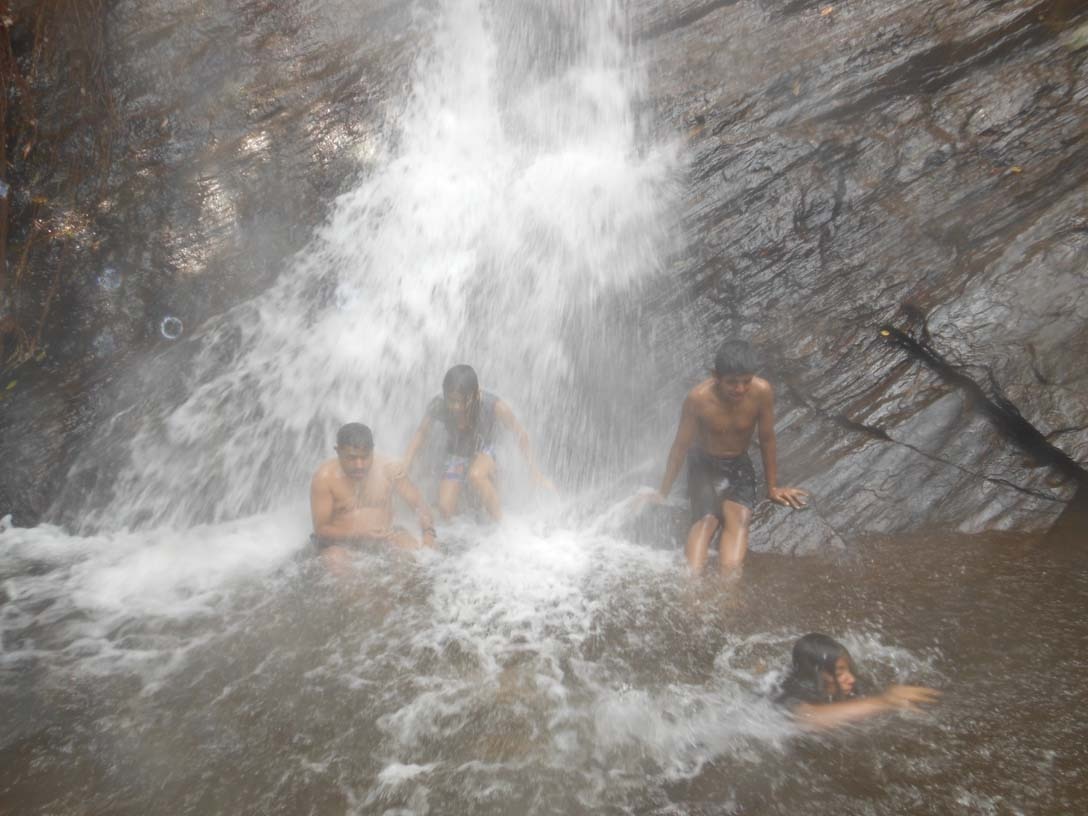 Jhari Eco Stay | Cottages & Tents Best Rates on Chikmagalur Hotel Deals ...