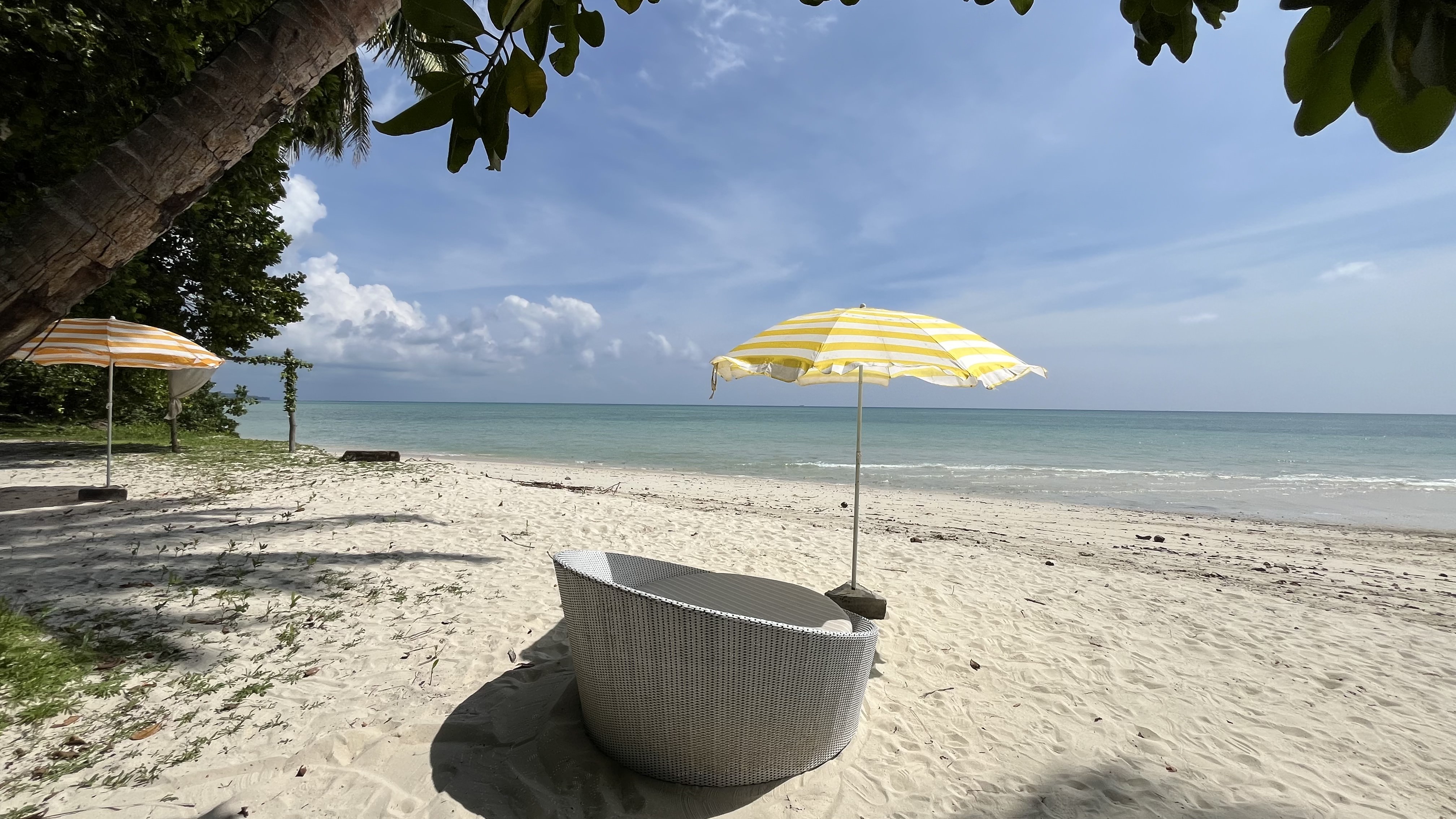Ocean Tree Beach Resort & Spa 𝗕𝗢𝗢𝗞 Havelock Resort