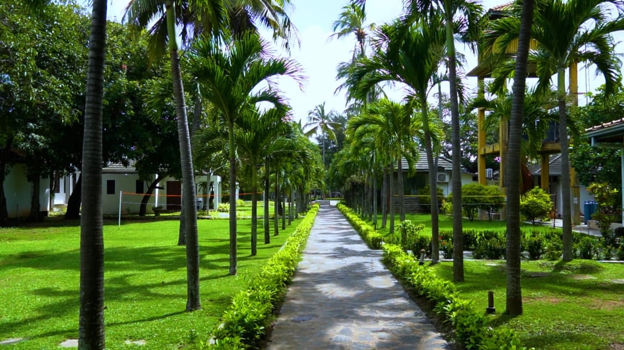 Amaluna Resorts 𝗕𝗢𝗢𝗞 Negombo Resort 𝘄𝗶𝘁𝗵 𝗙𝗥𝗘𝗘 𝗖𝗮𝗻𝗰𝗲𝗹𝗹𝗮𝘁𝗶𝗼𝗻