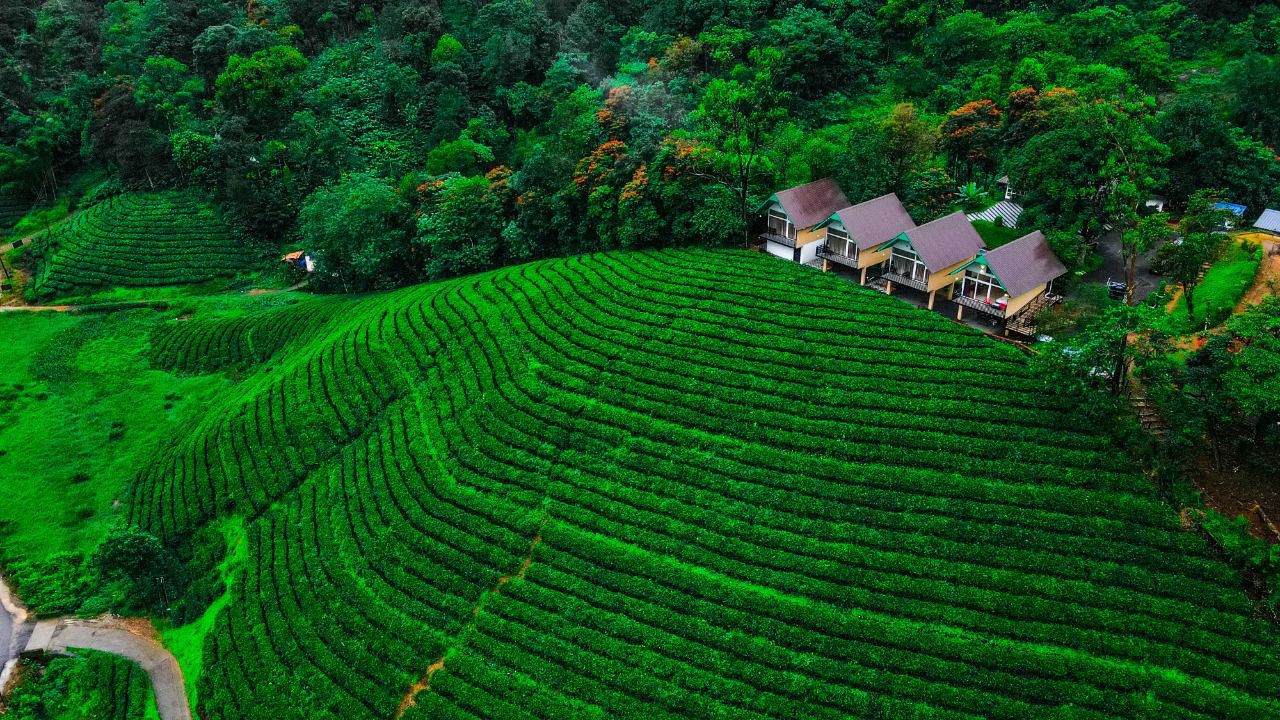 Photos of Zero Degree Jungle Resort - Resort in Munnar