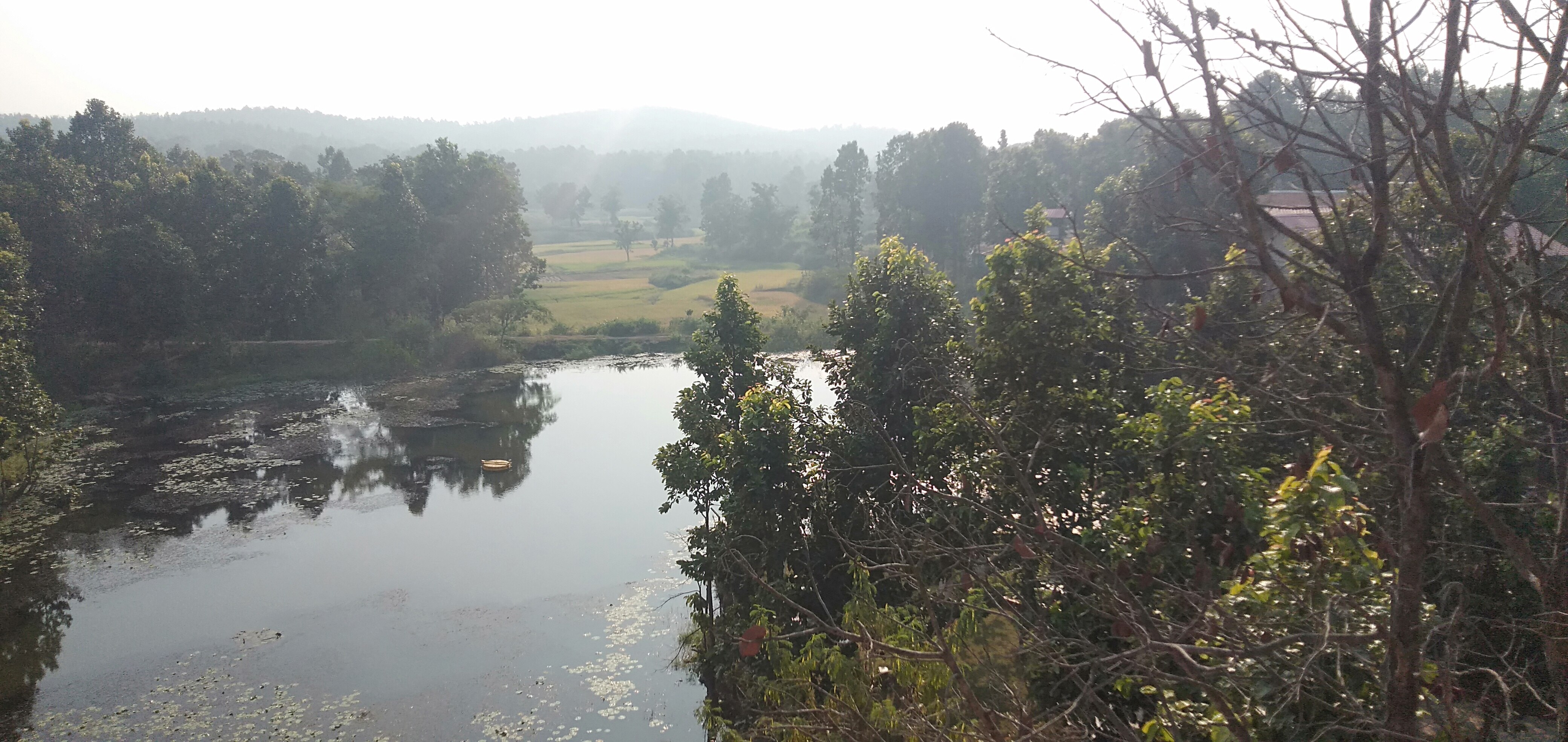 Kushal Palli Resorts- A unit of PearlTree Hotels & Resorts Pvt. Ltd ...