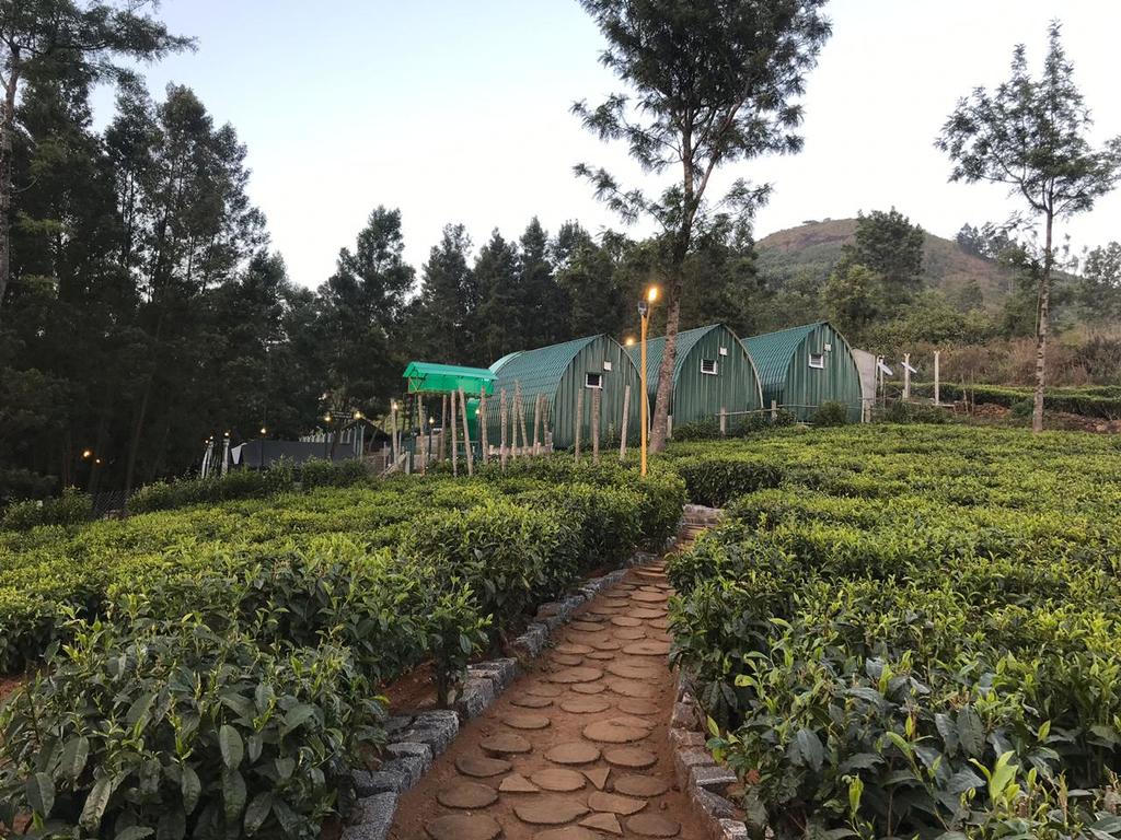 The Den by Trees | Tents & Huts | Kotagiri Homestay BOOK @ ₹1