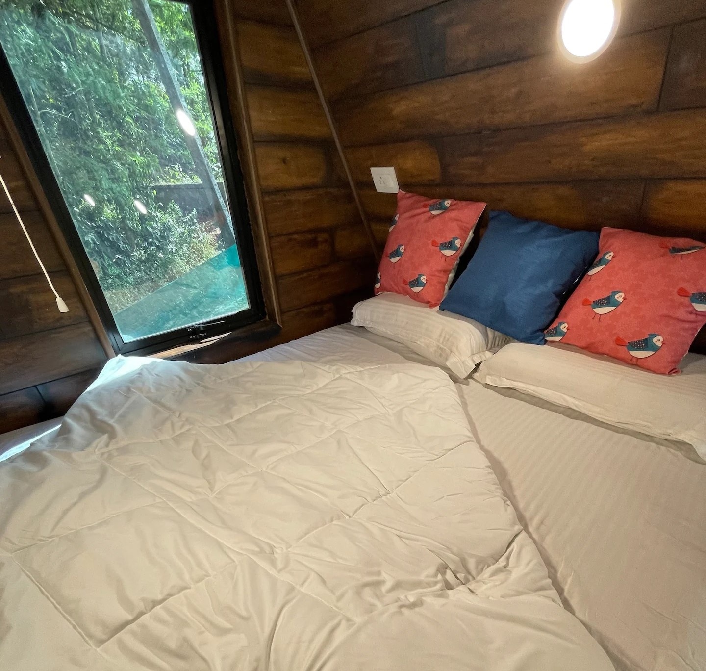 Birds Eye A Frame, Unique Stay 𝗕𝗢𝗢𝗞 Chikmagalur Homestay 𝘄𝗶𝘁𝗵 ₹𝟬 𝗣𝗔𝗬𝗠𝗘𝗡𝗧