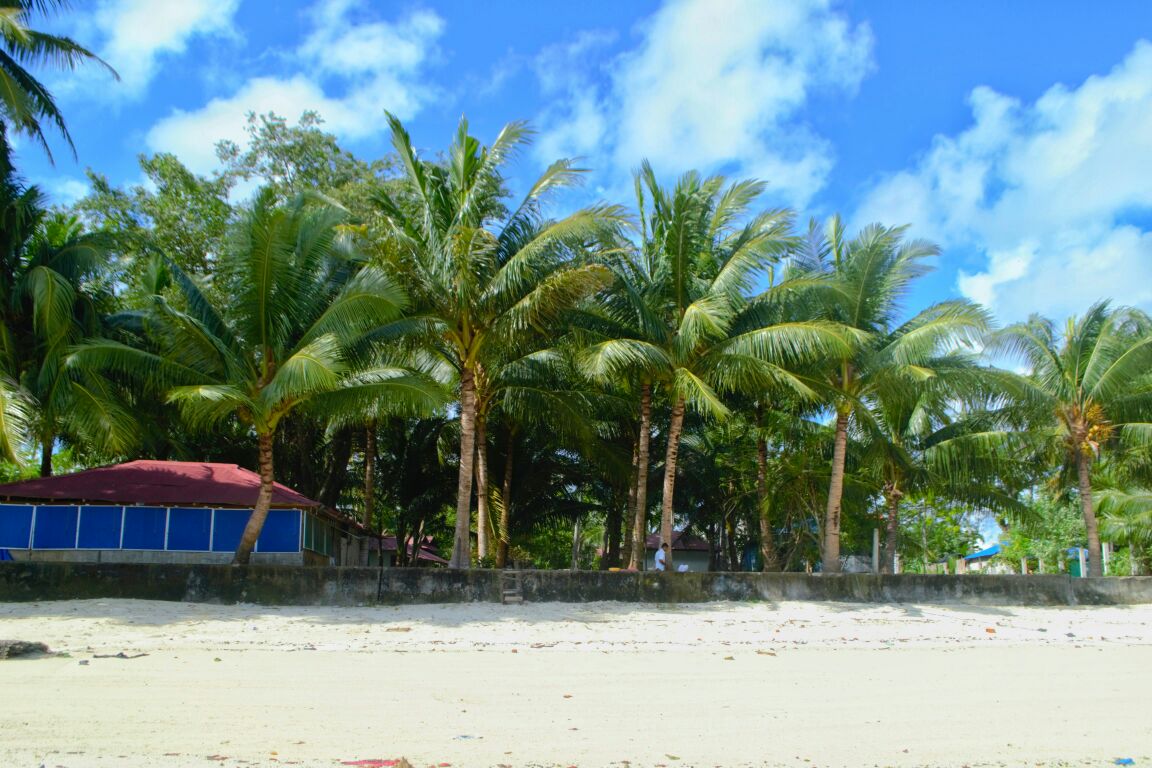 SUNDAZE BEACH RESORT 100% Money Back 𝗕𝗢𝗢𝗞 Havelock Resort 𝘄𝗶𝘁𝗵 ₹𝟬 𝗣𝗔𝗬𝗠𝗘𝗡𝗧