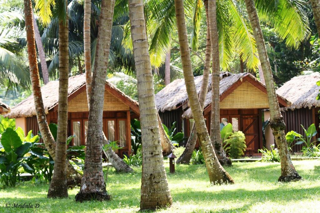 Sea Shell Havelock Havelock INR 435 OFF ( ̶7̶2̶5̶0̶ ) Resort Price ...