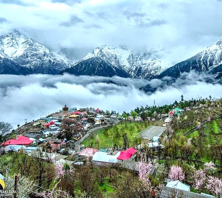 Photos of THE WHITE CASTLE KALPA - Hotel in Kalpa