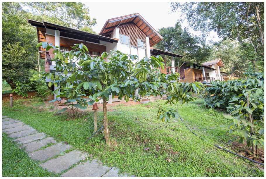 Vythiri Mist Resort | Wayanad Resort BOOK @ ₹1