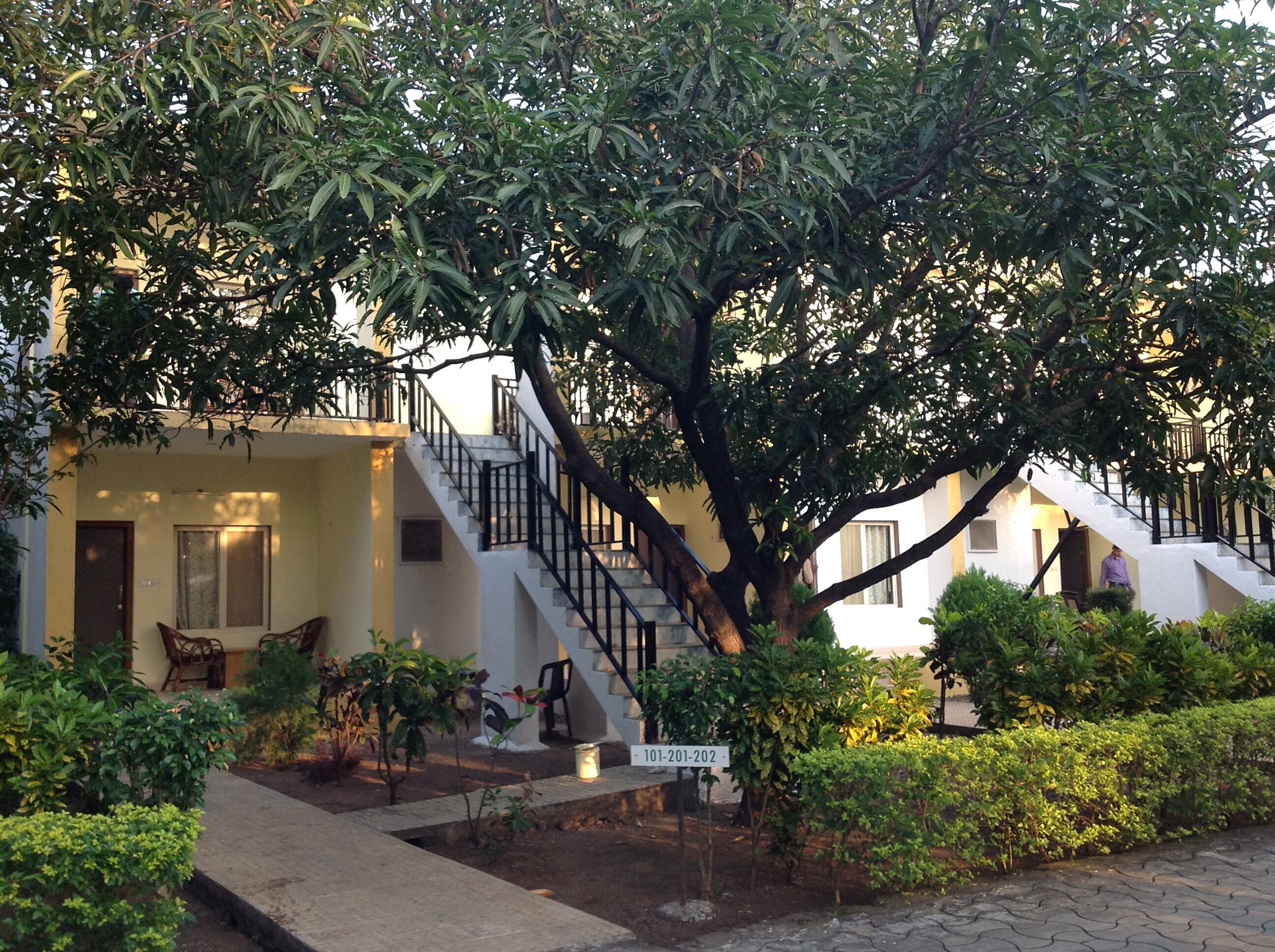 Gir Jungle Lodge Sasan Gir Resort Price, Address & Reviews