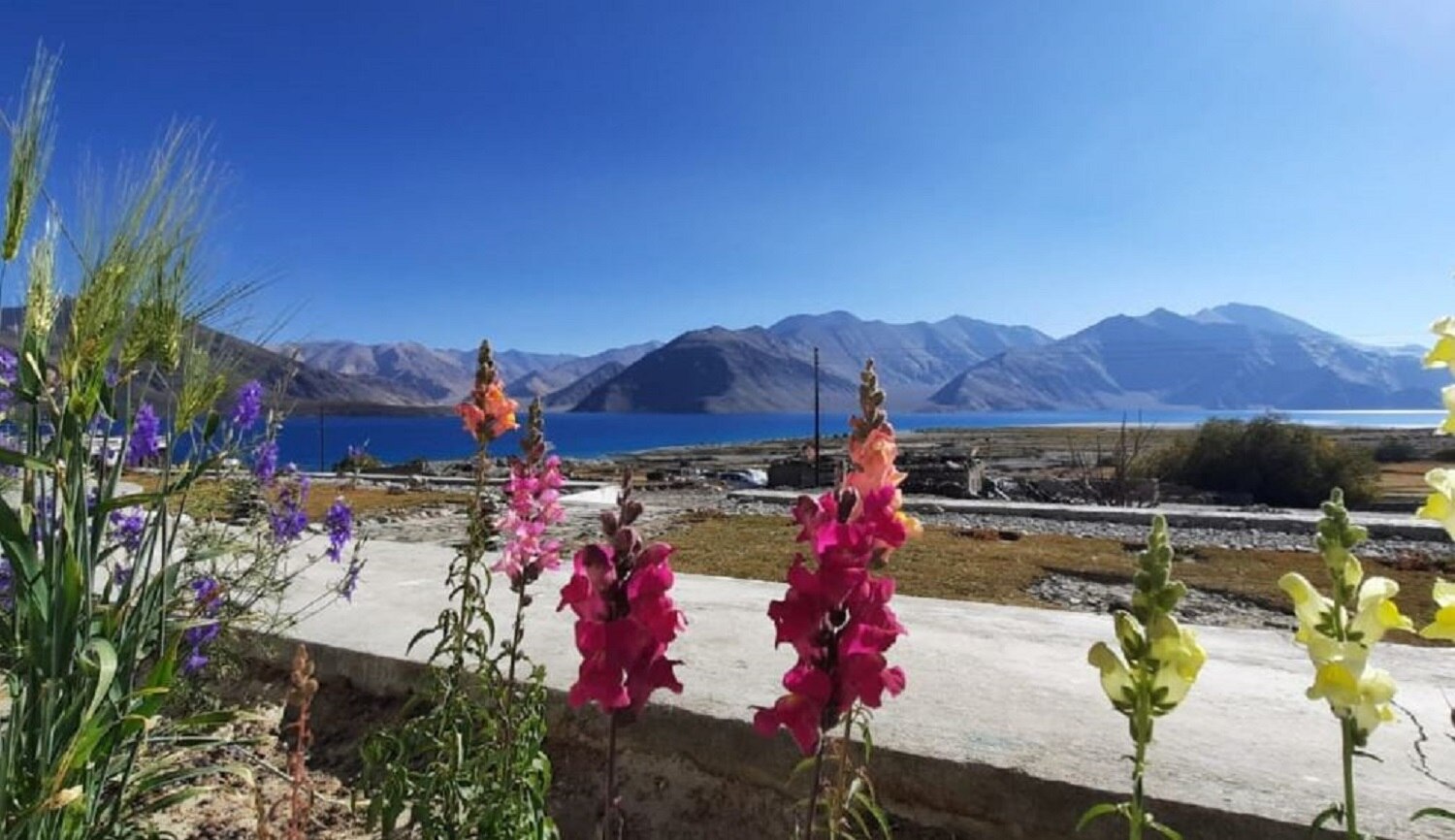 Thangzing House | Rooms in a Homestay | Pangong Homestay BOOK @ ₹1