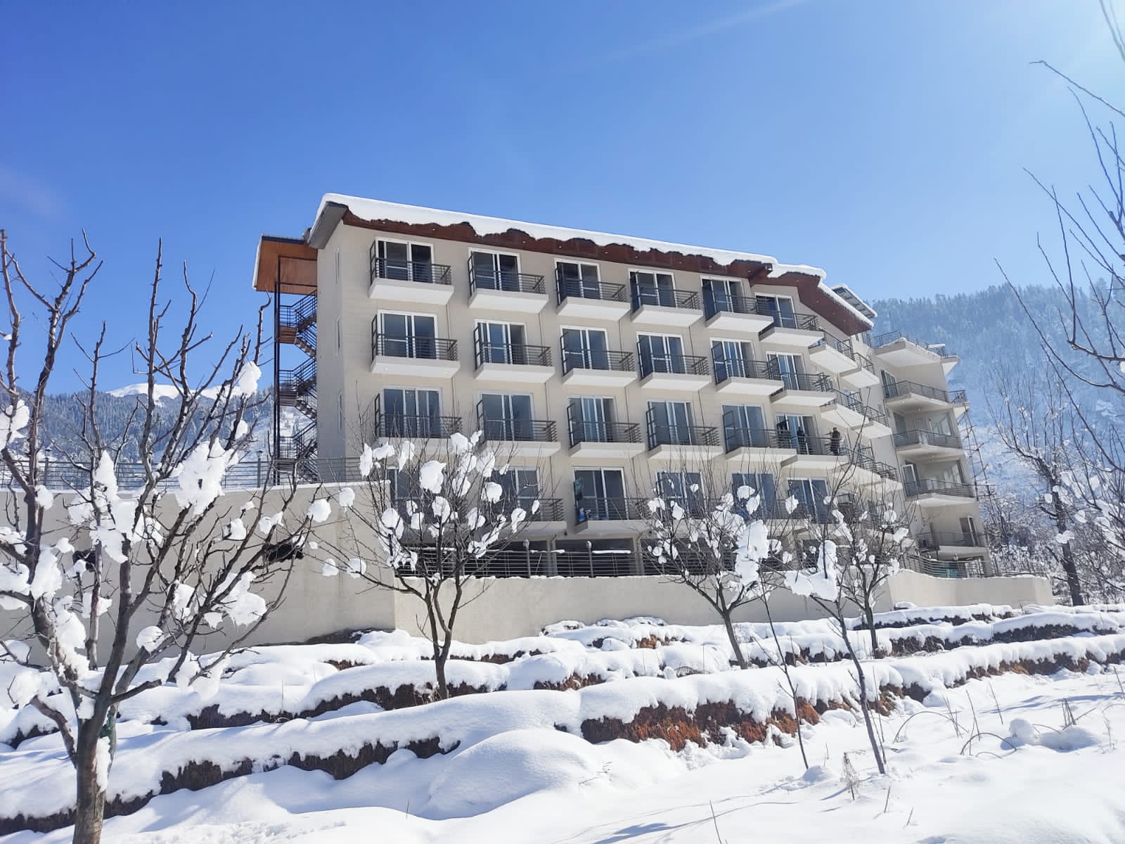 Sandhya Resort Best Rates on Manali Hotel Deals, Reviews & Photos