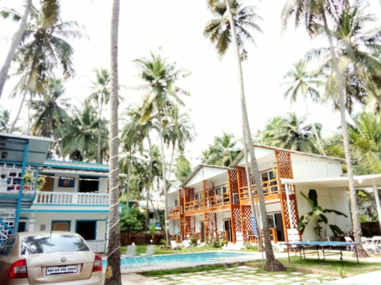 White Turtle Resort 𝗕𝗢𝗢𝗞 Goa Resort 𝘄𝗶𝘁𝗵 𝗙𝗥𝗘𝗘 𝗖𝗮𝗻𝗰𝗲𝗹𝗹𝗮𝘁𝗶𝗼𝗻