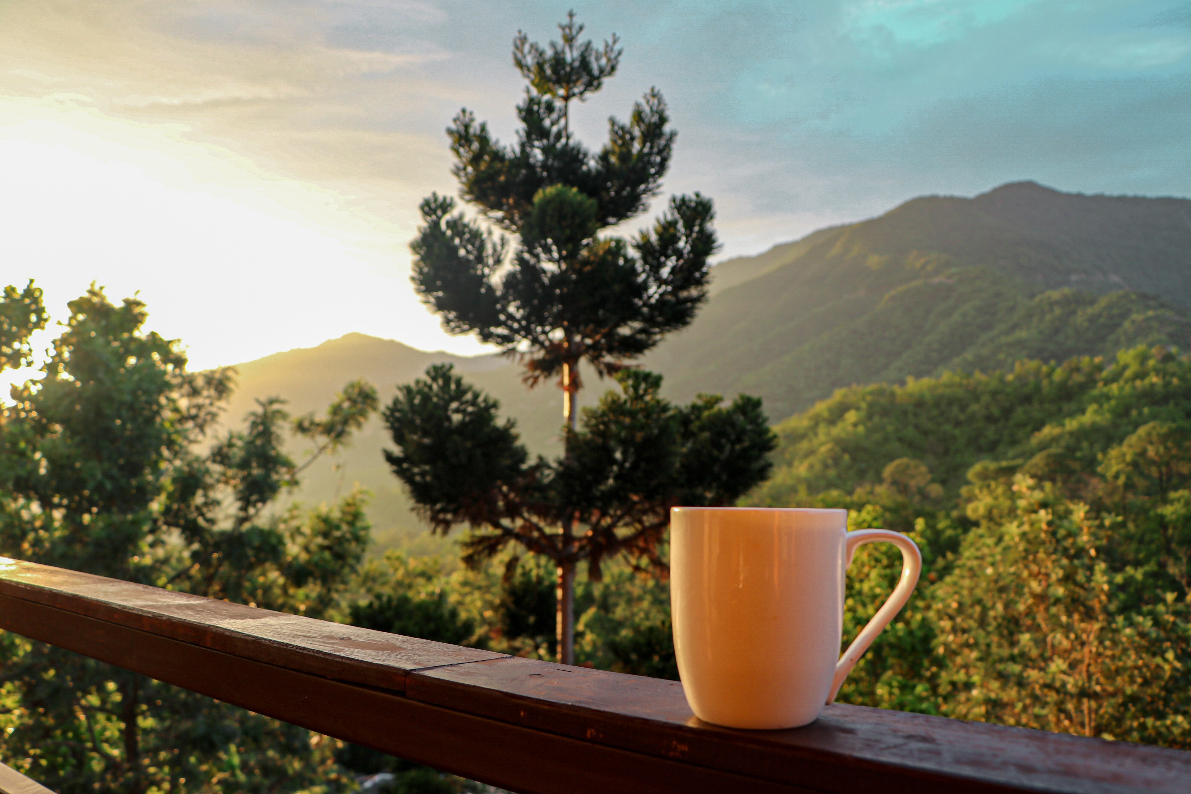 Punarnava Resort & Spa Dehradun - Reviews, Photos & Offer