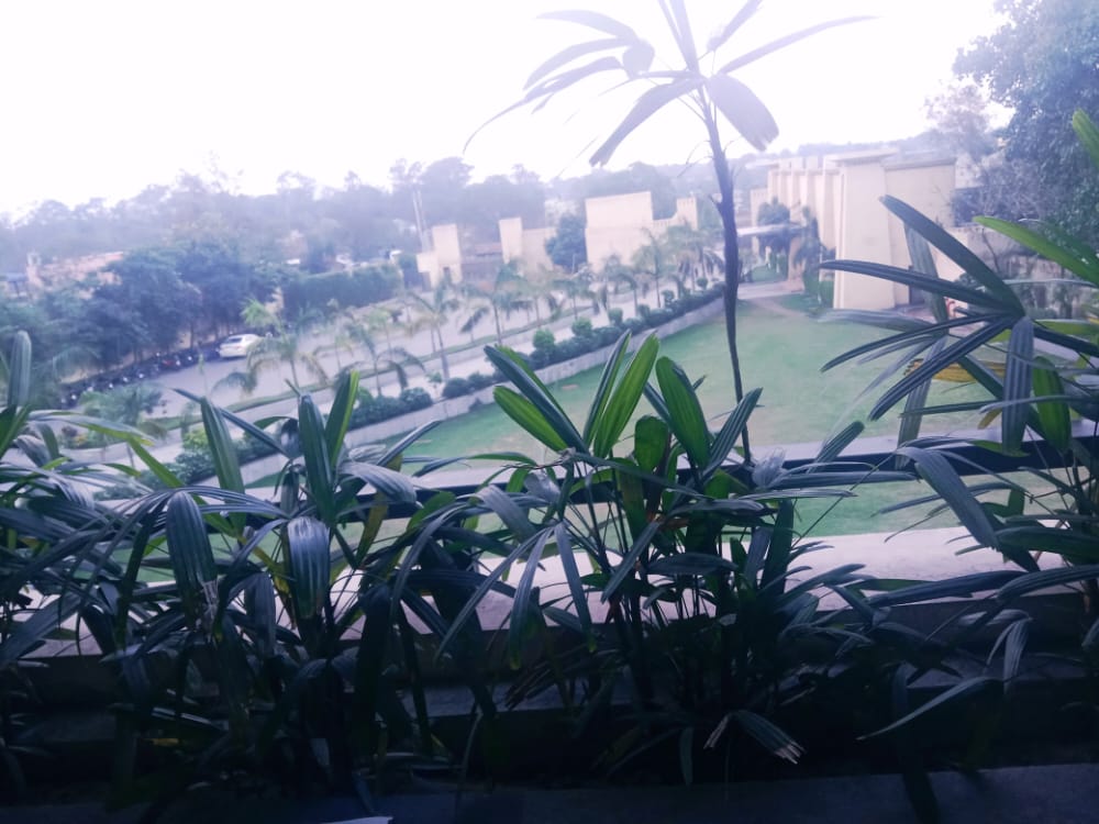 Parklane Resort 𝗕𝗢𝗢𝗞 Dhanbad Hotel 𝘄𝗶𝘁𝗵 𝗙𝗥𝗘𝗘 𝗖𝗮𝗻𝗰𝗲𝗹𝗹𝗮𝘁𝗶𝗼𝗻