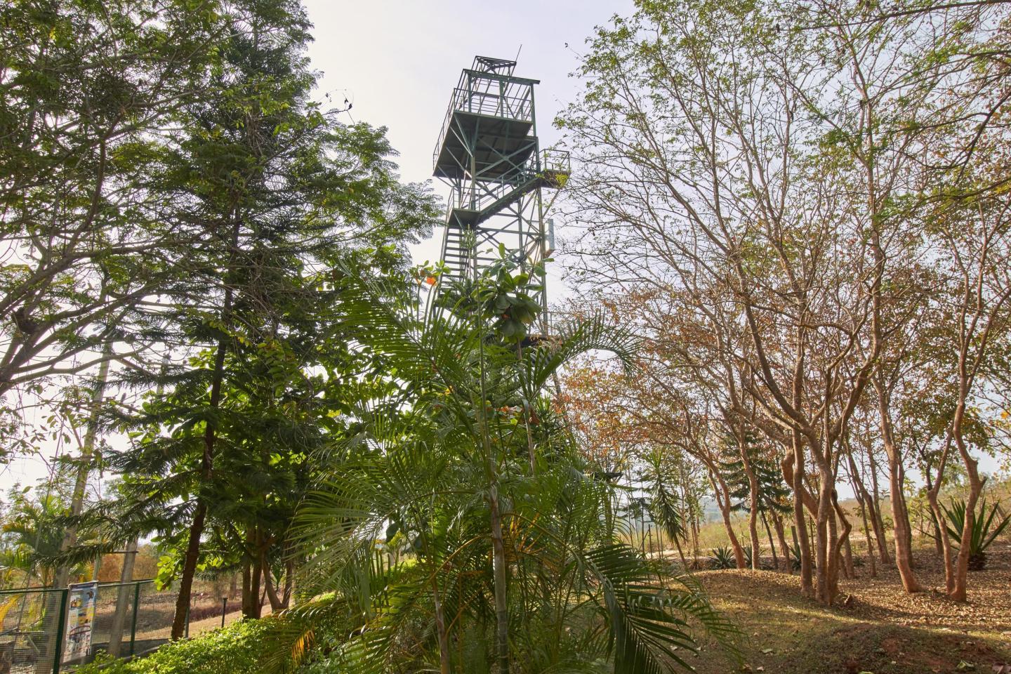 The Country Club Wild Life Resort Bandipur National Park Resort Price ...