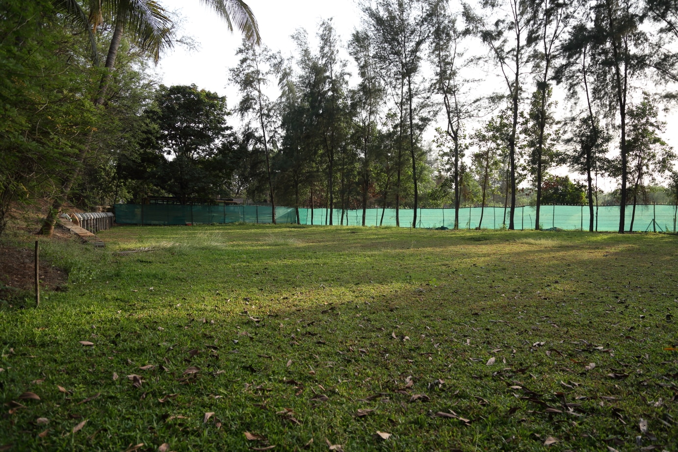 Pinewood Resort | Karjat Resort BOOK @ ₹1