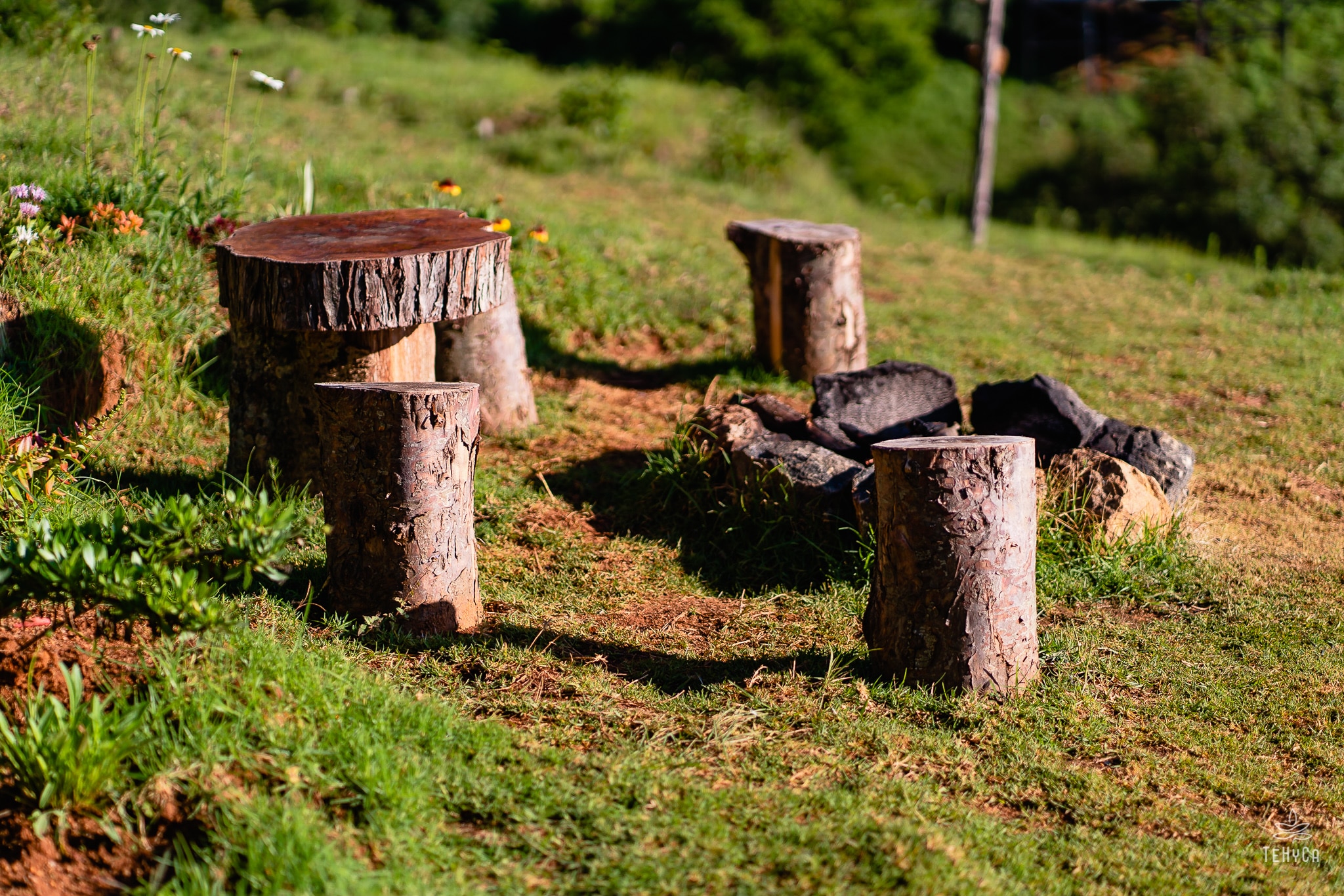 TeHyCa Luxury Camp Kodaikanal - Reviews, Photos & Offer