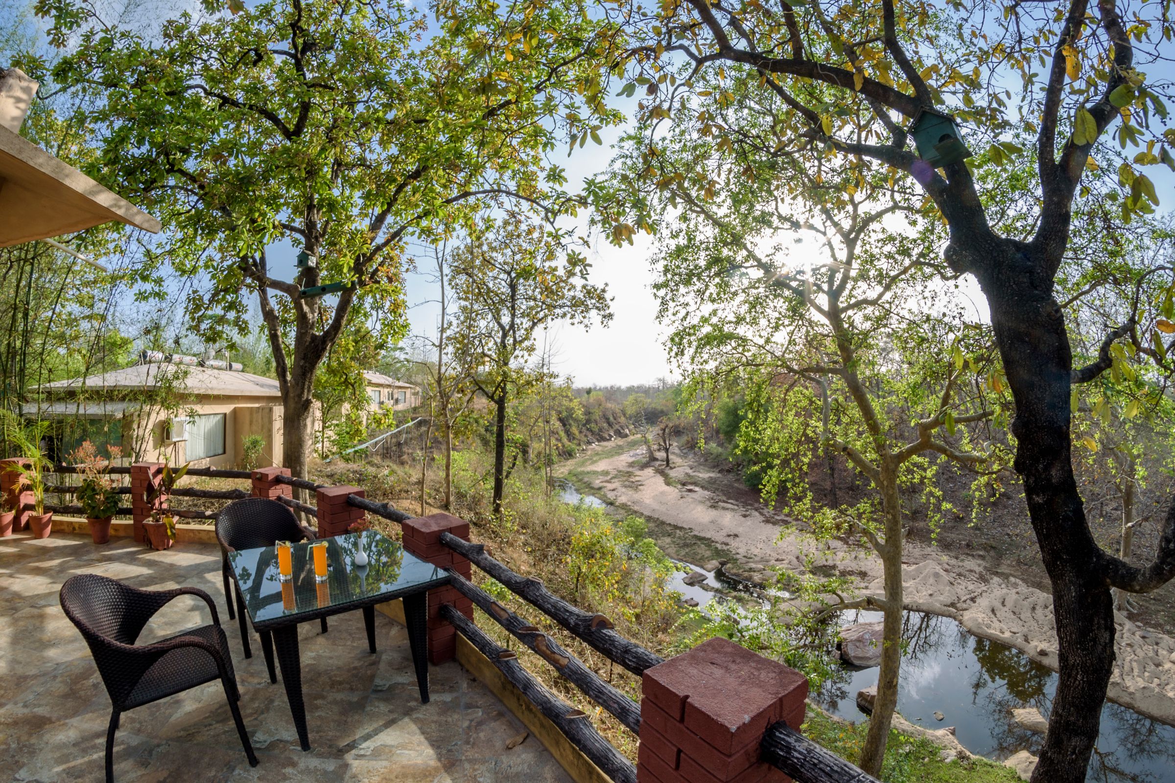 The Riverwood Forest Retreat-Pench Pench INR 708 OFF ( ̶1̶1̶8̶0̶0̶ ...
