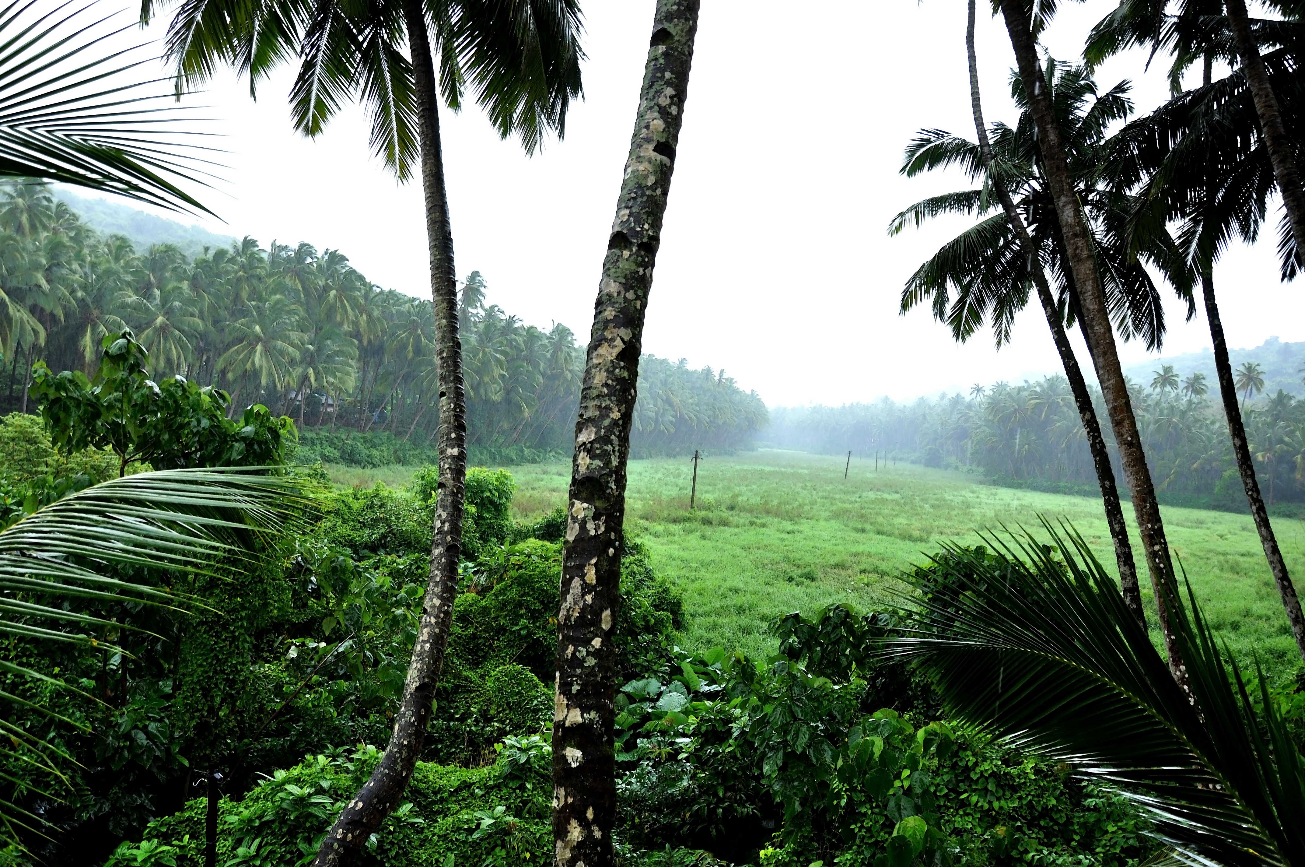 Devasthali - The Valley Of Gods 𝗕𝗢𝗢𝗞 Goa Resort 𝘄𝗶𝘁𝗵 𝗙𝗥𝗘𝗘 𝗖𝗮𝗻𝗰𝗲𝗹𝗹𝗮𝘁𝗶𝗼𝗻