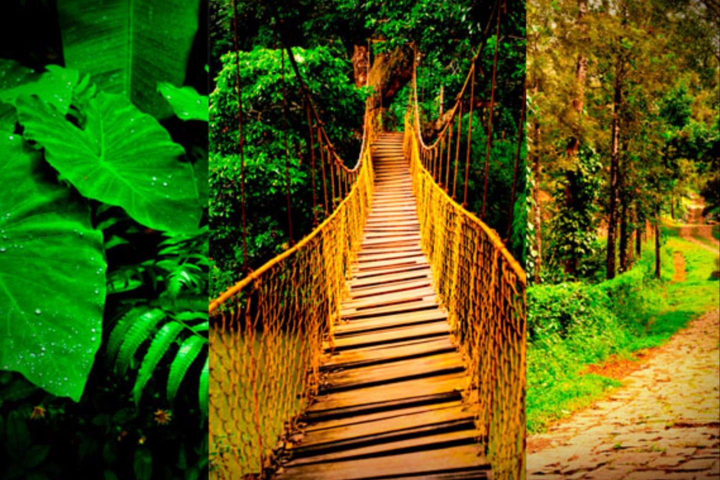 Meriyanda Nature Lodge Coorg | Coorg Resort BOOK @ ₹1