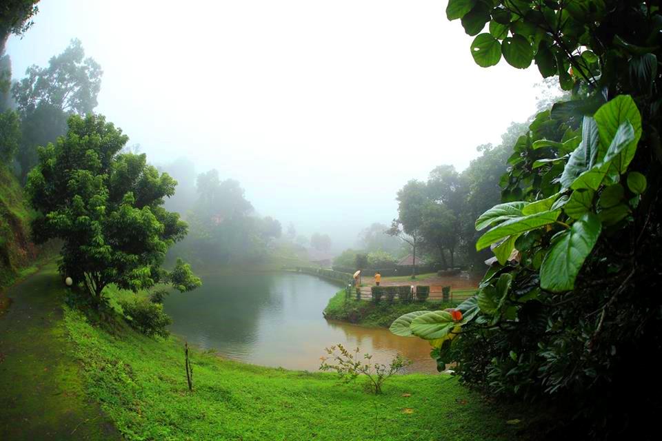 Rain Country Resort Wayanad Resort Price, Address & Reviews