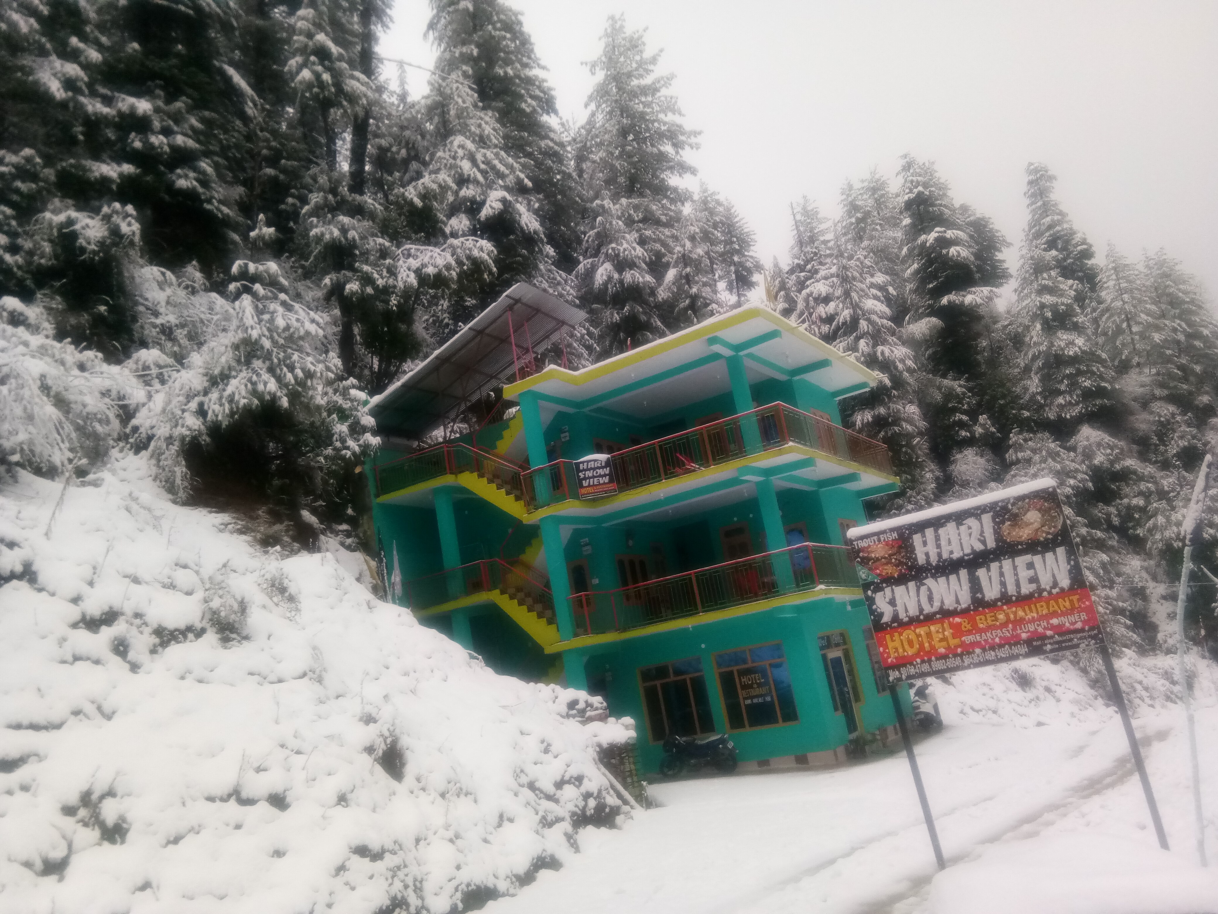 HARI SNOW VIEW Best Rates on Barot Hotel Deals, Reviews & Photos