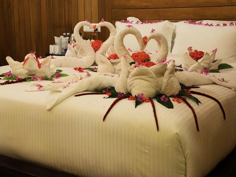 Ocean Tree Beach Resort & Spa 𝗕𝗢𝗢𝗞 Havelock Resort 𝘄𝗶𝘁𝗵 𝗙𝗥𝗘𝗘 𝗖𝗮𝗻𝗰𝗲𝗹𝗹𝗮𝘁𝗶𝗼𝗻