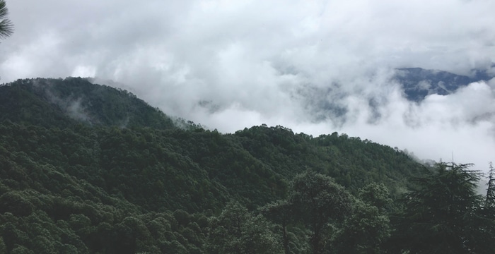 Treehouse Chail Villas, Chail - Get Upto 70% OFF on Hotels