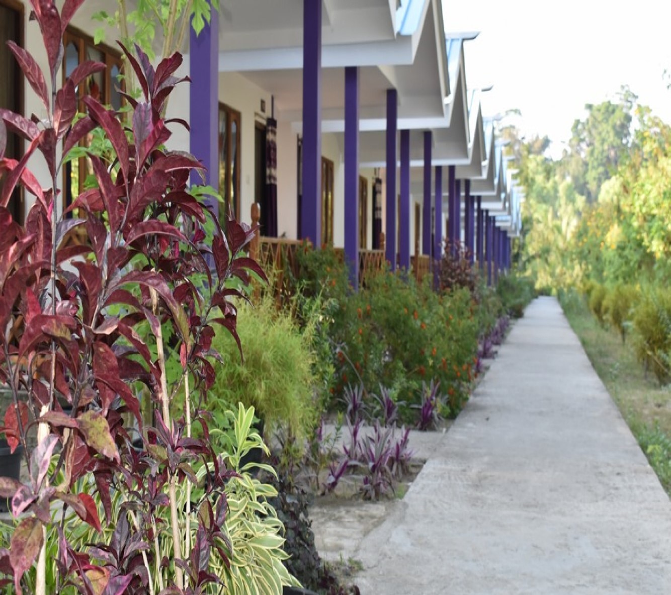 Save Green Resort 𝗕𝗢𝗢𝗞 Neil Island Resort 𝘄𝗶𝘁𝗵 ₹𝟬 𝗣𝗔𝗬𝗠𝗘𝗡𝗧