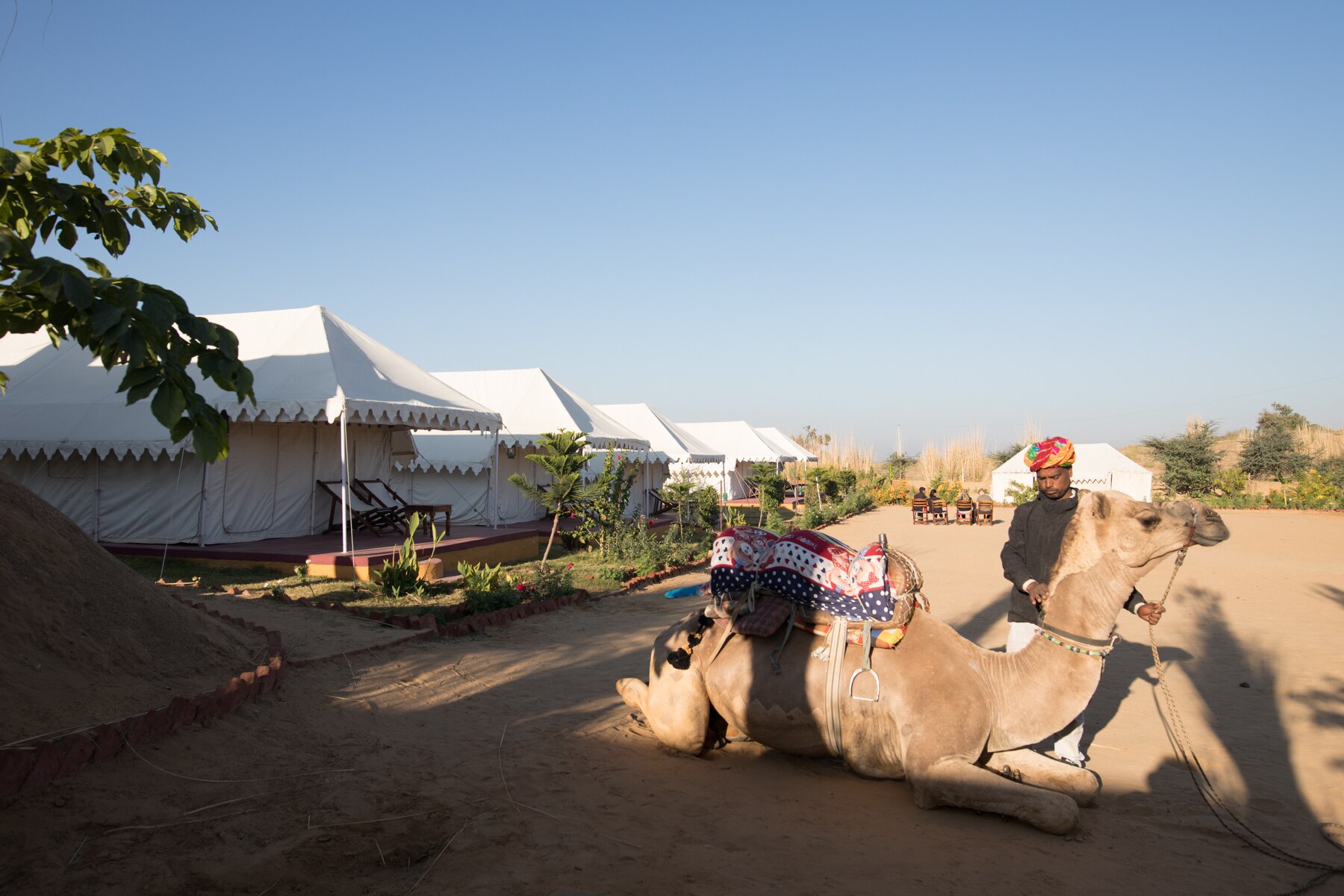 Pushkar Adventure Desert Camp Pushkar INR 446 OFF ( ̶1̶8̶0̶0̶ ) Camp ...