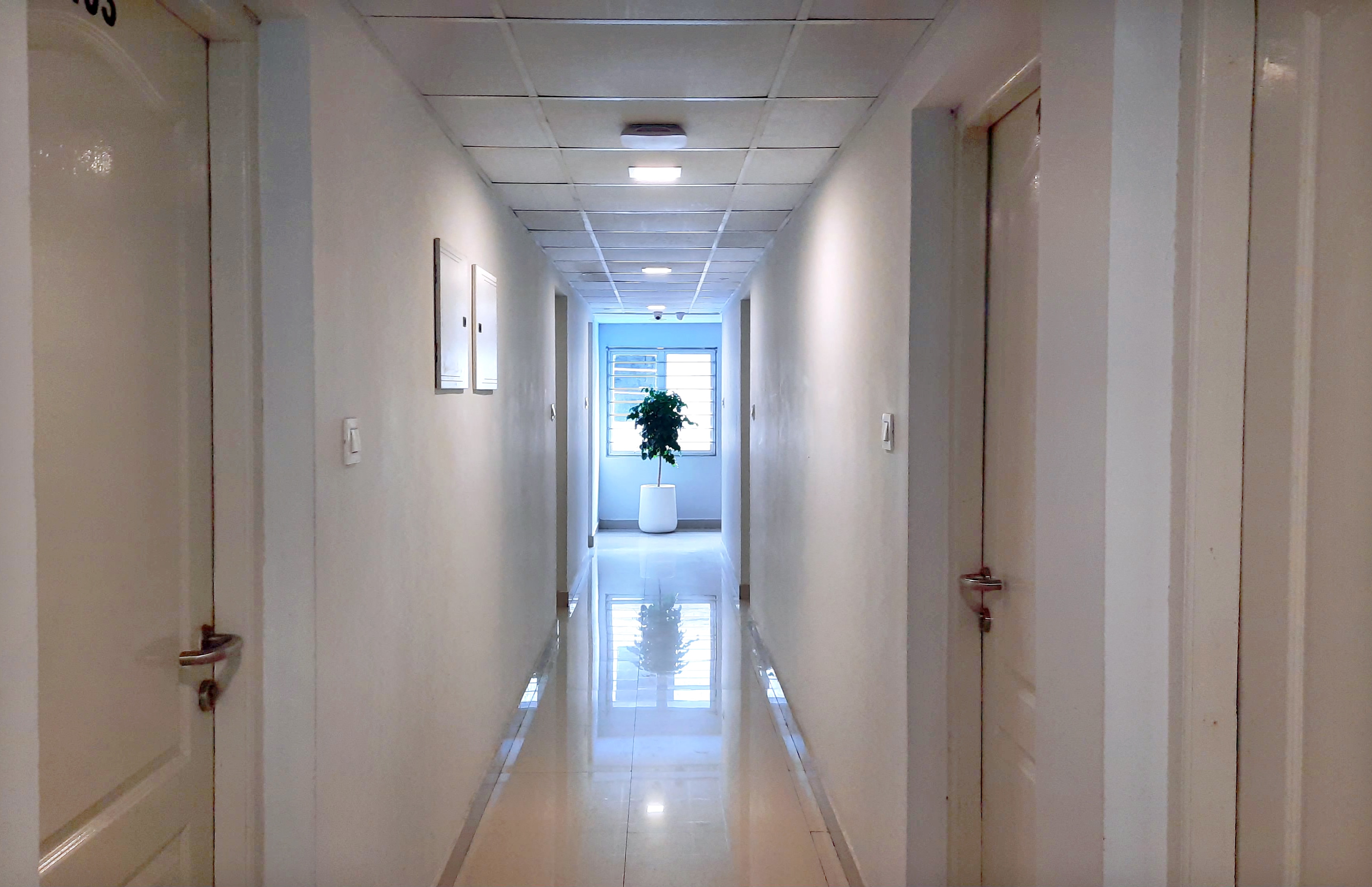 The Reach Hotel 𝗕𝗢𝗢𝗞 Cochin Hotel 𝘄𝗶𝘁𝗵 𝗙𝗥𝗘𝗘 𝗖𝗮𝗻𝗰𝗲𝗹𝗹𝗮𝘁𝗶𝗼𝗻