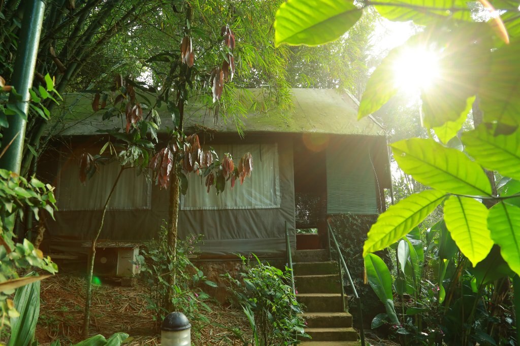 Grassroots Wayanad | Valley-view Tents | Wayanad Camp BOOK @ ₹1