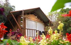 Hotel Botanix Nature Resort 헕헢헢헞 Sohna Hotel