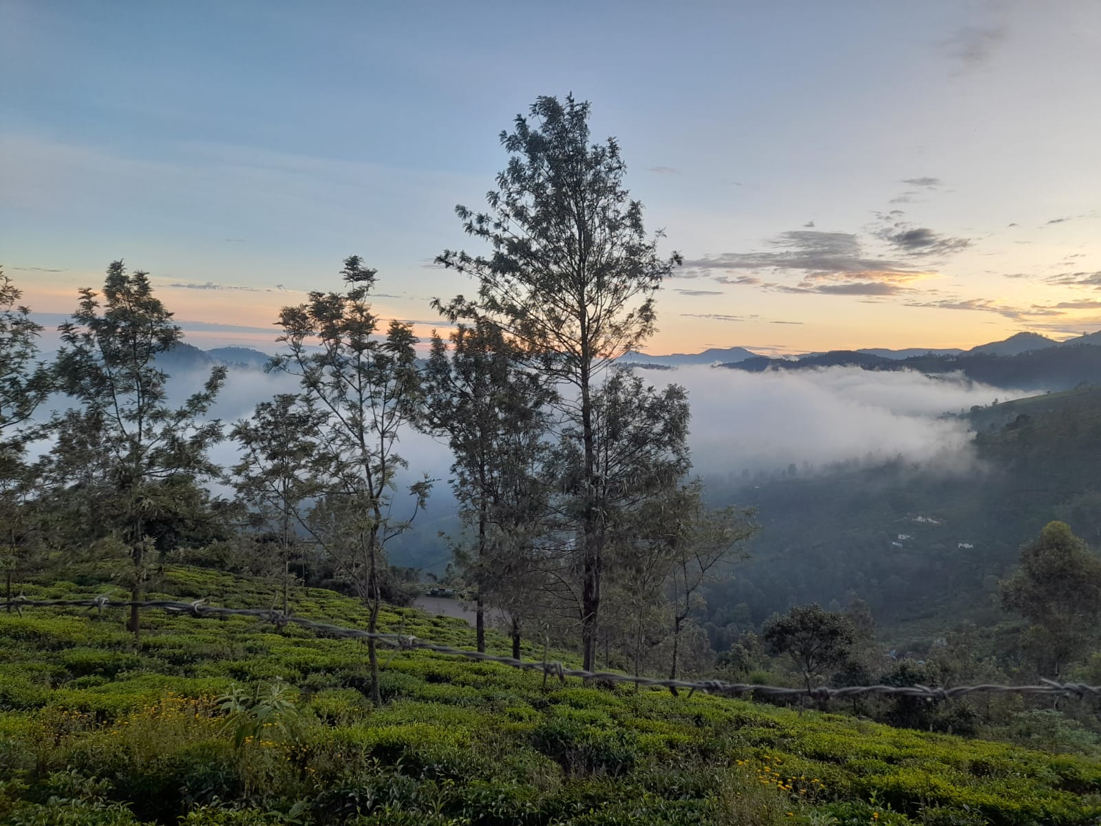 Lance Silver Falls 𝗕𝗢𝗢𝗞 Coonoor Resort 𝘄𝗶𝘁𝗵 𝗙𝗥𝗘𝗘 𝗖𝗮𝗻𝗰𝗲𝗹𝗹𝗮𝘁𝗶𝗼𝗻