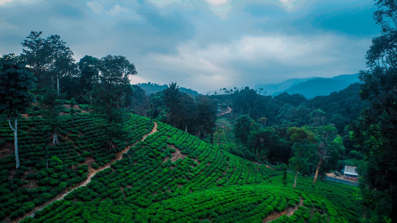 Mist Wayanad 𝗕𝗢𝗢𝗞 Wayanad Hotel 𝘄𝗶𝘁𝗵 ₹𝟬 𝗣𝗔𝗬𝗠𝗘𝗡𝗧