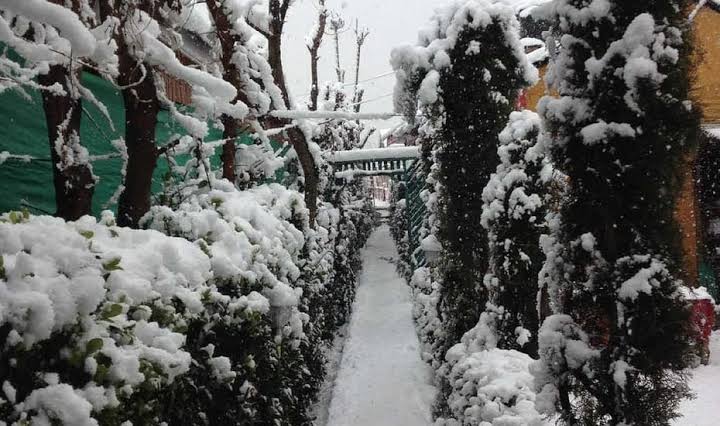 Dal View Resort 𝗕𝗢𝗢𝗞 Srinagar Hotel 𝘄𝗶𝘁𝗵 𝗙𝗥𝗘𝗘 𝗖𝗮𝗻𝗰𝗲𝗹𝗹𝗮𝘁𝗶𝗼𝗻