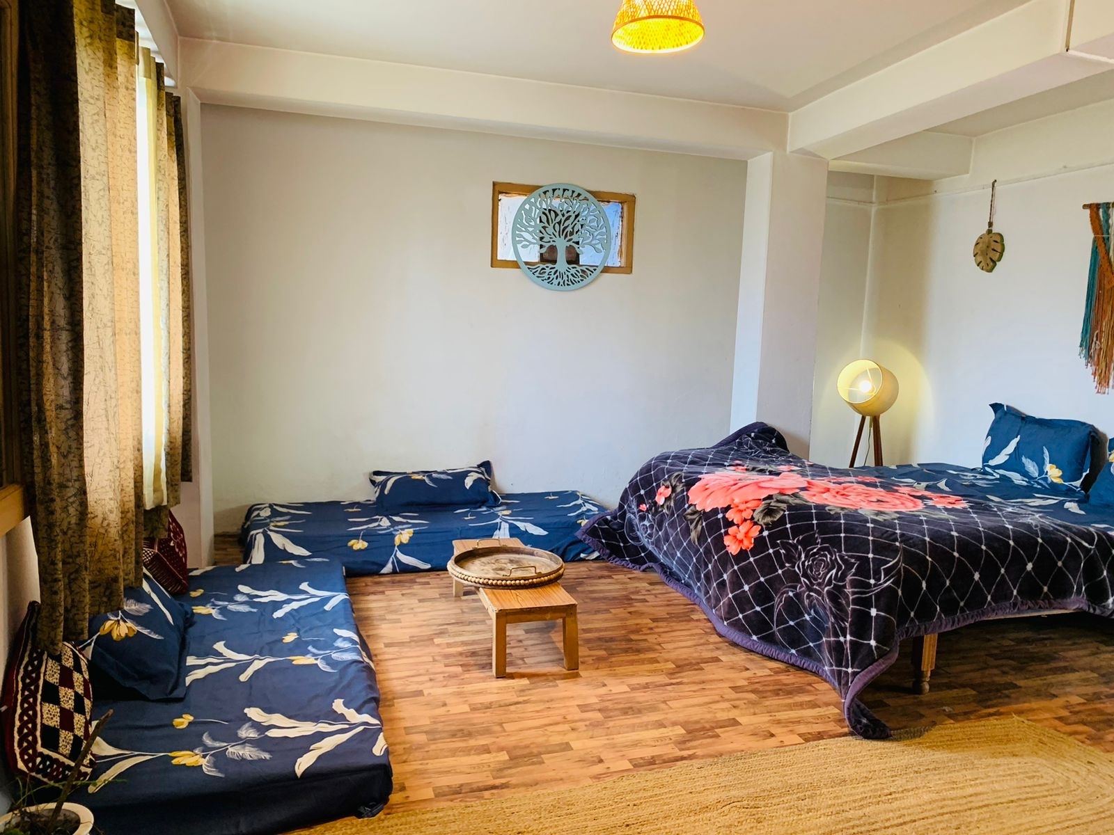 The Ivy House Sethan 𝗕𝗢𝗢𝗞 Manali Homestay