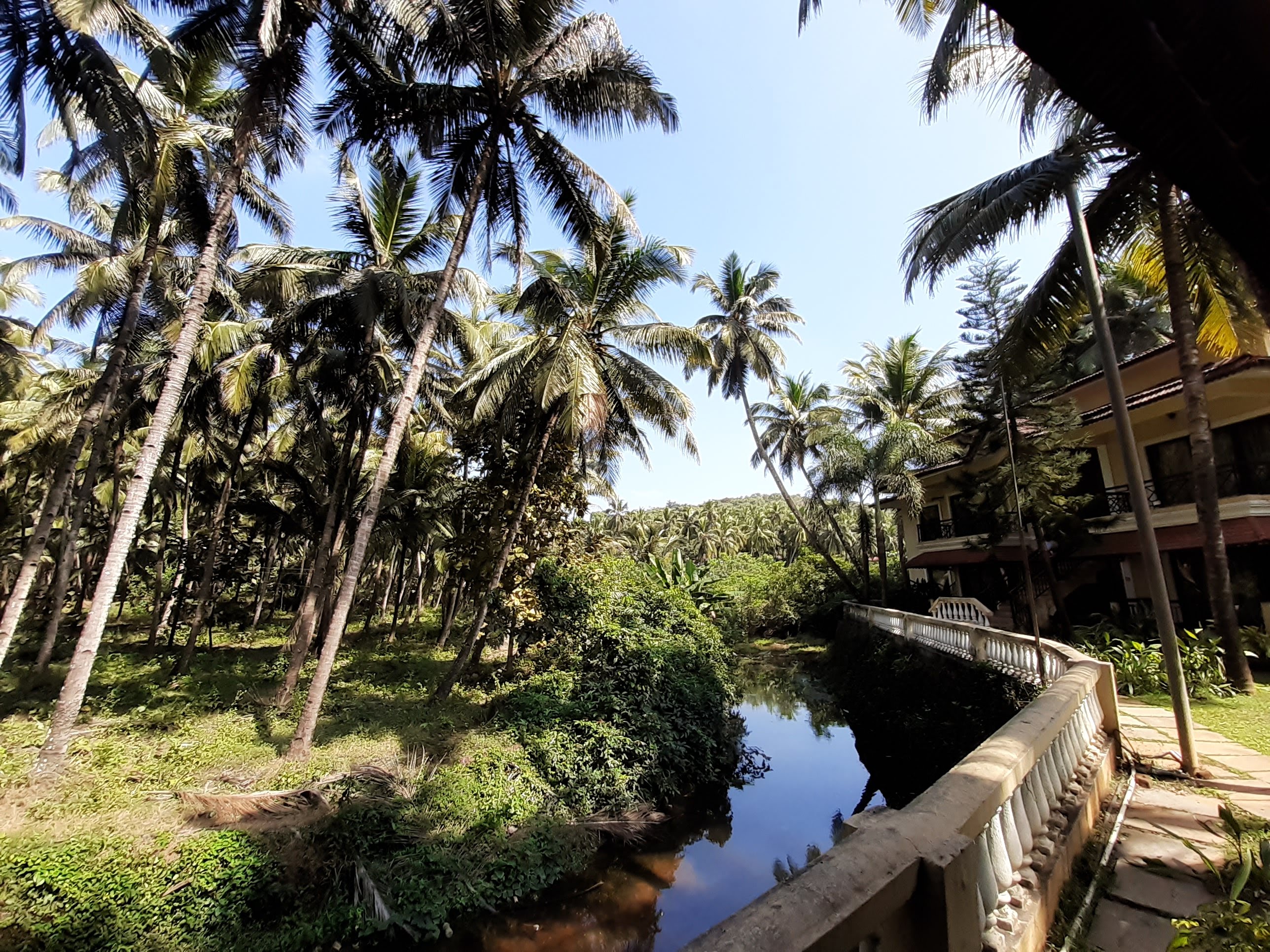 The Coco View Apartment Best Rates on Goa Hotel Deals, Reviews & Photos