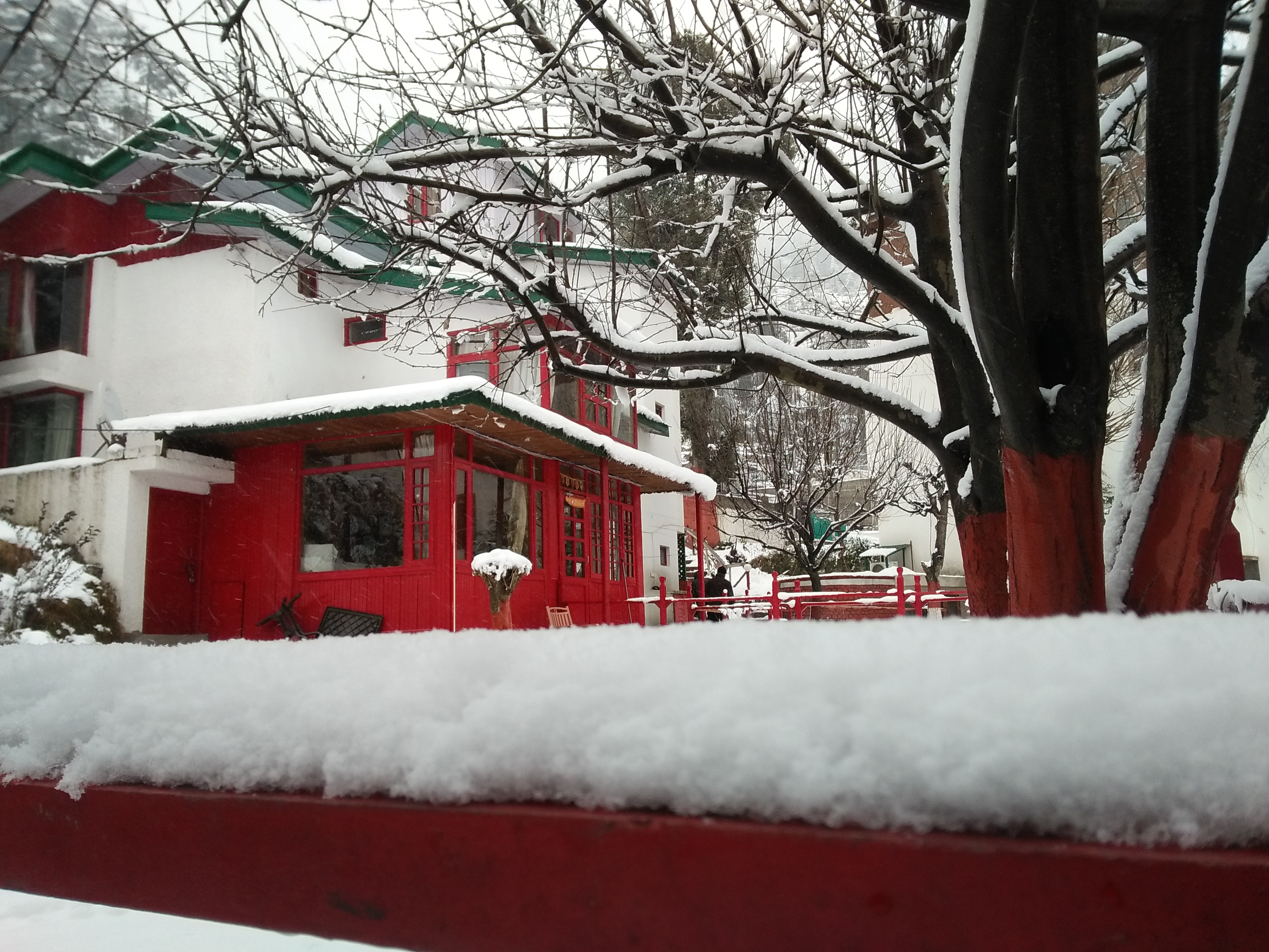 Hotel Shiva Cottage Patnitop INR 676 OFF ( ̶2̶6̶4̶0̶ ) Resort Price ...
