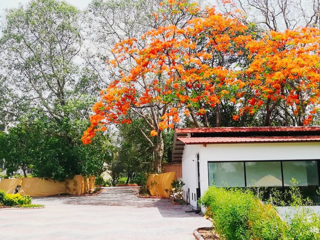 Shanti Resorts Best Rates on Valsad Hotel Deals, Reviews & Photos