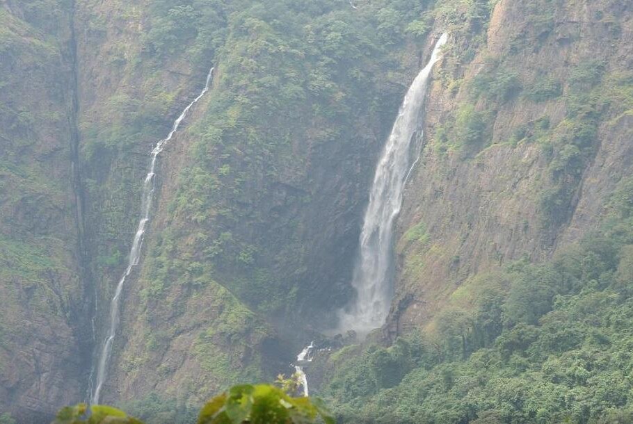 Wildernest Nature Resort 𝗕𝗢𝗢𝗞 Goa Resort 𝘄𝗶𝘁𝗵 ₹𝟬 𝗣𝗔𝗬𝗠𝗘𝗡𝗧